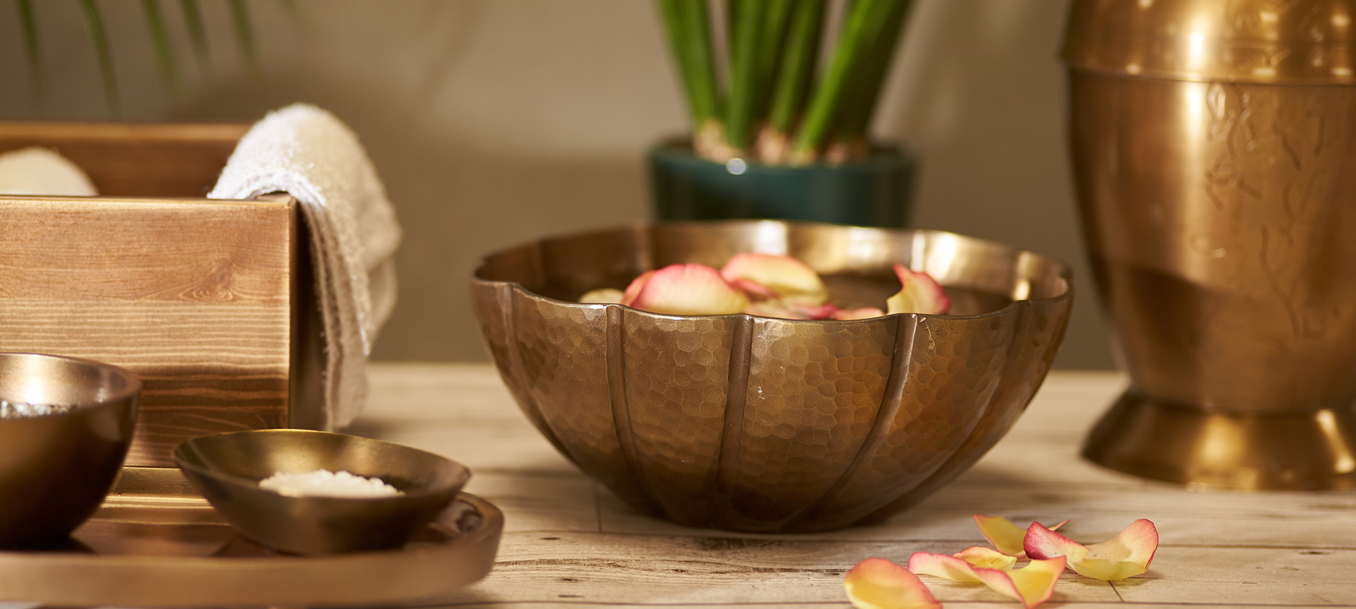 Maximworld l Leading hospitality product supplier in US & UK